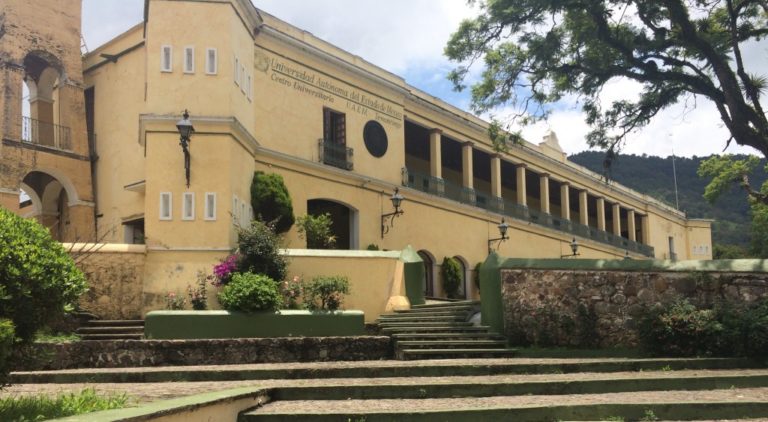 Estancias Profesionales Primer Trabajo De Universitarios Por La
